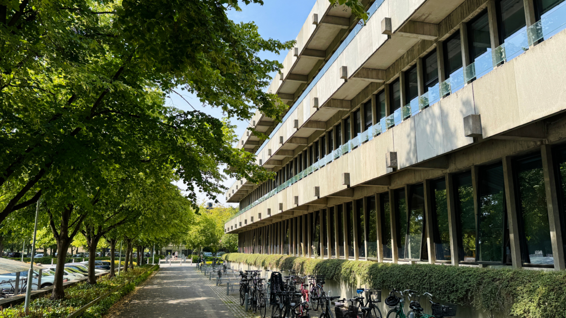 DTU Construct